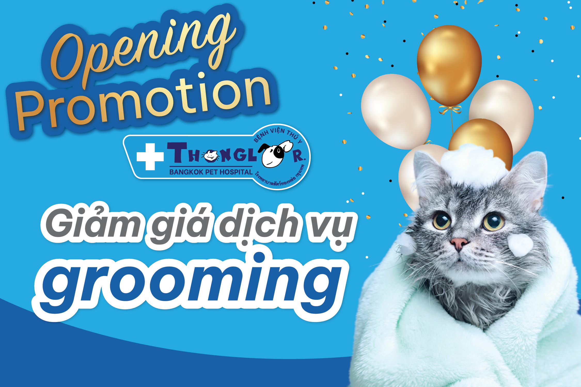 Giảm giá dịch vụ grooming,Discount for Grooming 2022